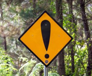 Warning Against False Emails To Clients | Mynt Models